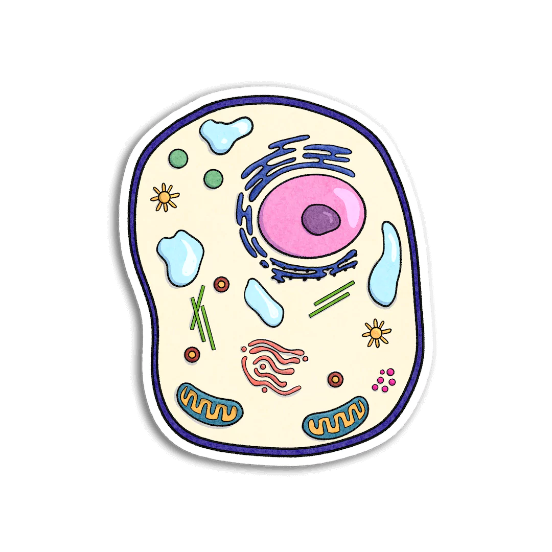 Animal Cell Sticker